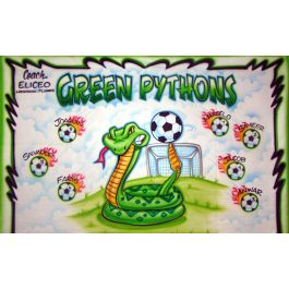 Pythons Soccer-0001 - Airbrush