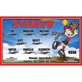 Stealth Softball-2001 - Premium