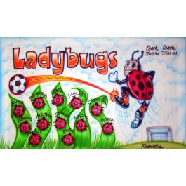Lady Bugs Soccer-0002 - Airbrush