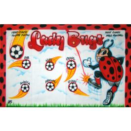 Lady Bugs Soccer-0006 - Airbrush