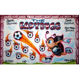 Lady Bugs Soccer-0004 - Airbrush