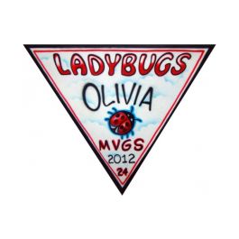 Ladybugs Softball Airbrush Pennant