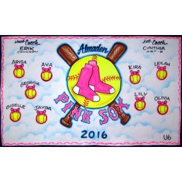 Pink Sox Softball-2001 - Airbrush